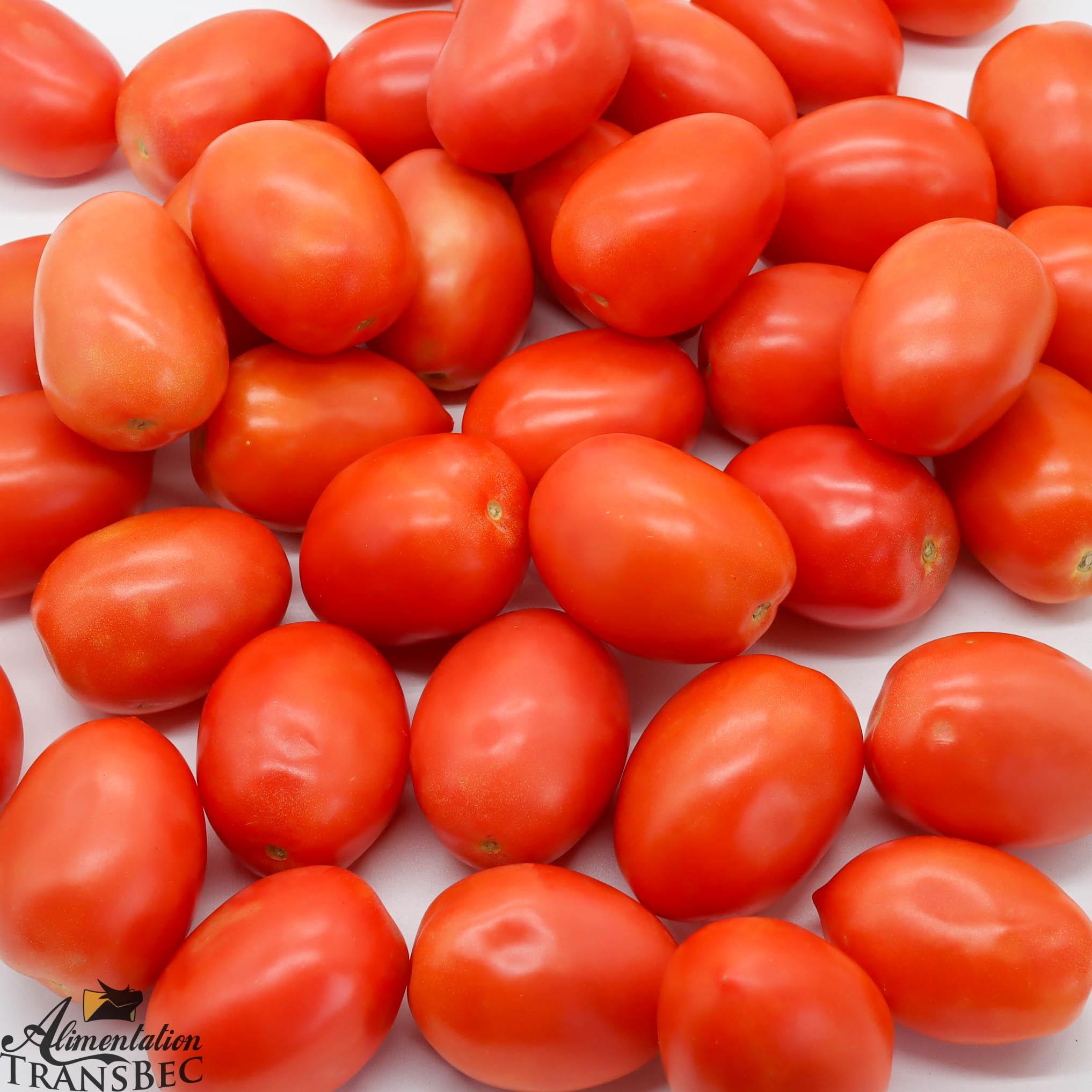 Tomate Roma | Alimentation Transbec