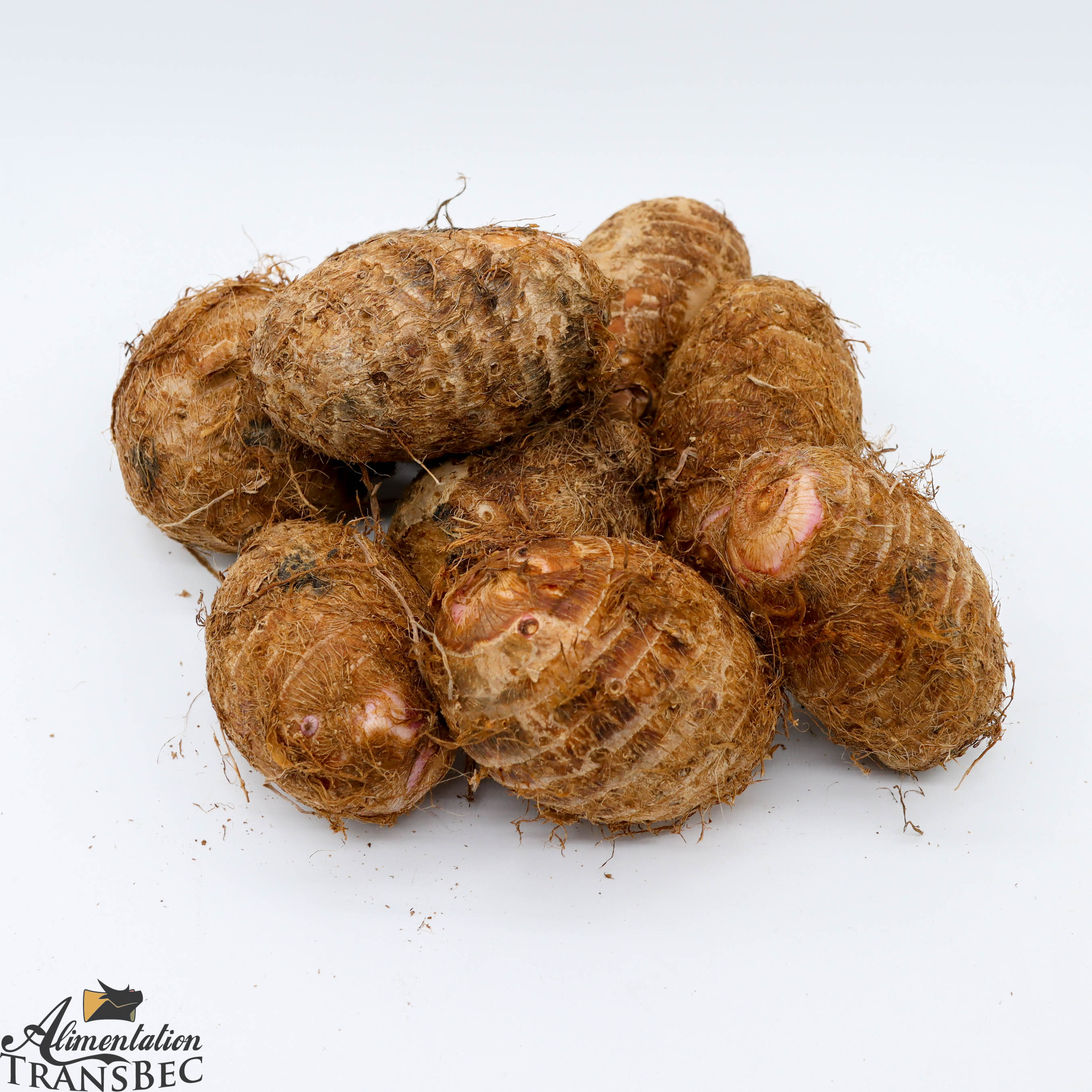 Taro | Alimentation Transbec